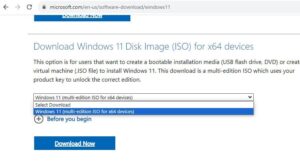 Download Windows 11 ISO File (64 Bit) version 25H2 FREE