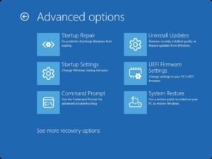 How to Access Advanced Boot Options (WinRE) in Windows 11 and 10