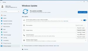 How to Check for and Install Windows Updates on your computer