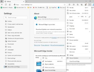 How to Update Microsoft Edge on windows 11/10