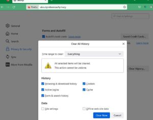 Firefox Slow to Load Pages in Windows 11/10 [Fix Guide]