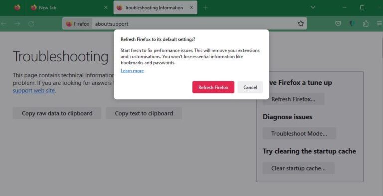 Firefox Slow to Load Pages in Windows 11/10 [Fix Guide]