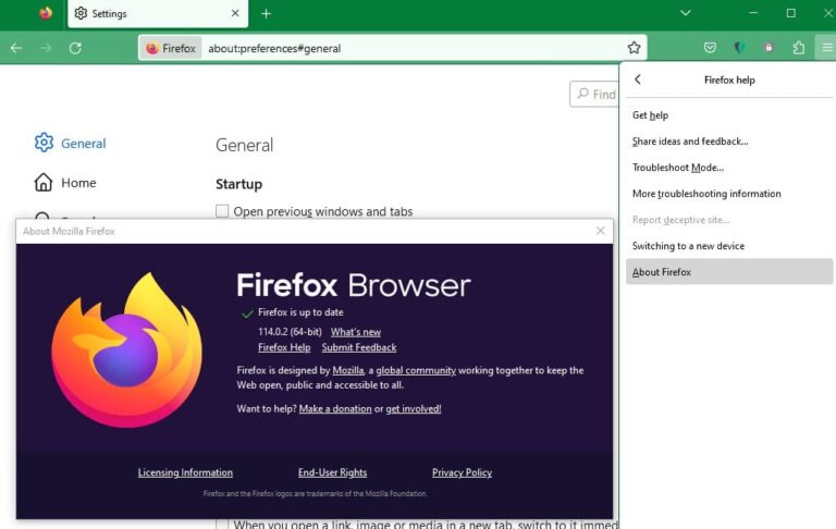 Firefox Slow to Load Pages in Windows 11/10 [Fix Guide]