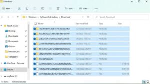 How to Remove failed or pending updates from Windows 11