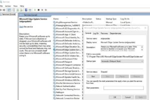 How to Update Microsoft Edge on windows 11/10